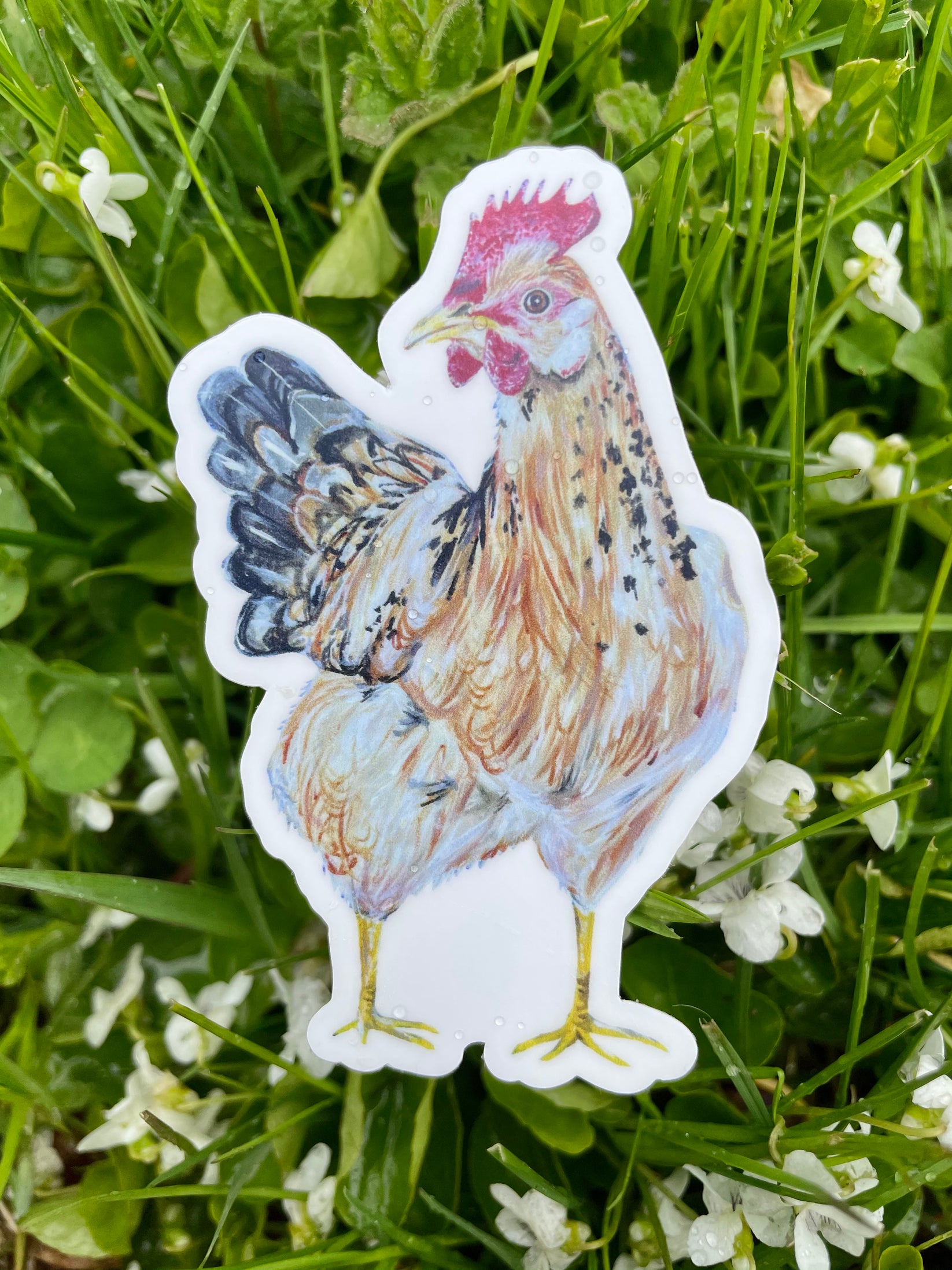 Chicken Vinyl Sticker – Willough Designs